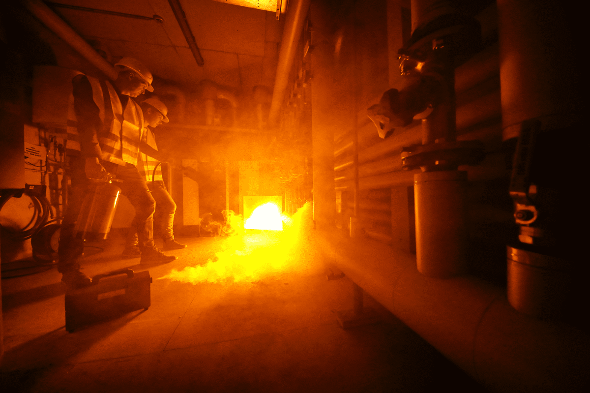 LION DIGITAL FIRE TECHNOLOGY